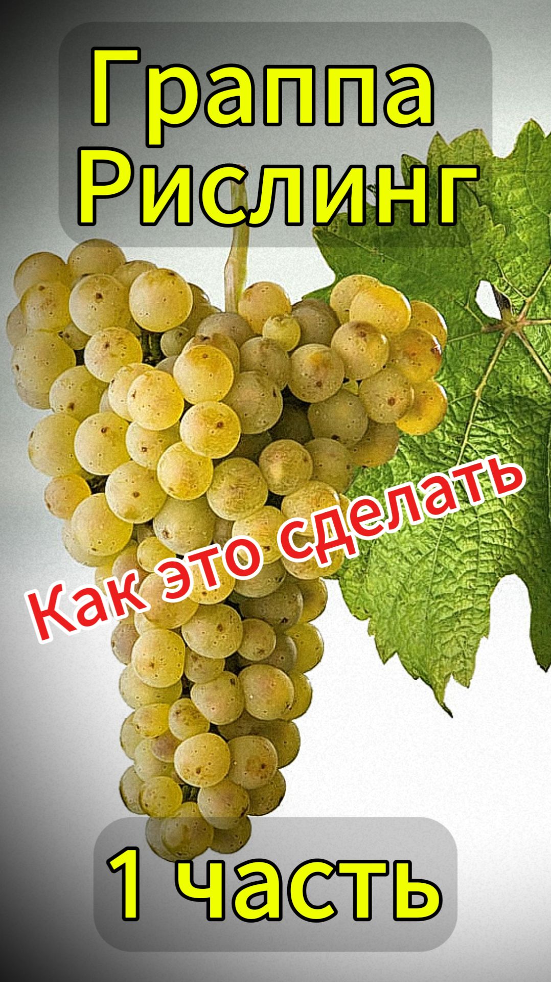 Граппа, как это сделано - "Рислинг"