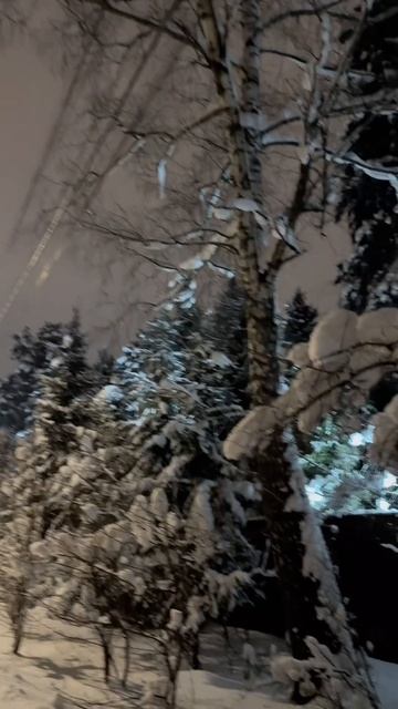 Теплого вечера 🌸#авторпесен #БогиняСвета