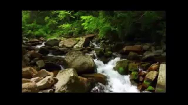 России суждено устоять.