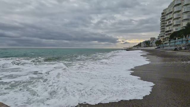 Море волнуется. +6 погода в Ялте. Рыжик встретил друзей.Крым 22.01.2026