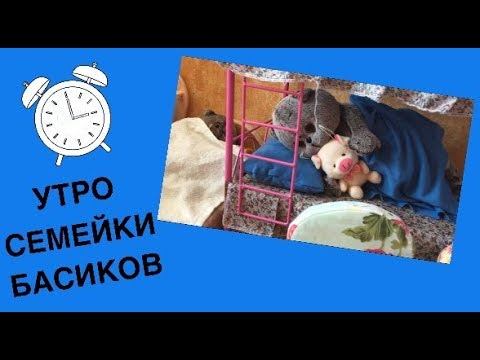 Утро СЕМЕЙКИ БАСИКОВ. Хозяйка наказала и поставила в угол / Семейка Басиков