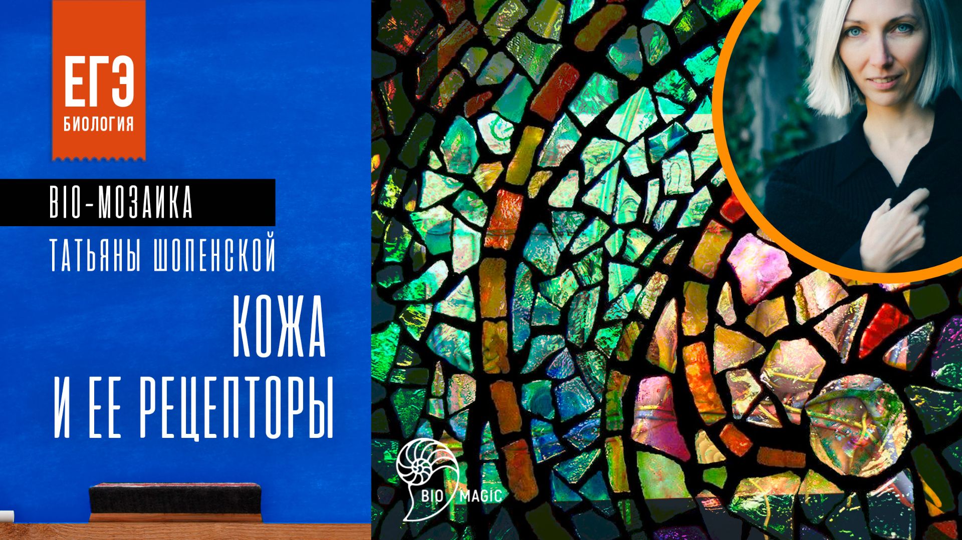 BIO-МОЗАИКА: Кожа и ее рецепторы.