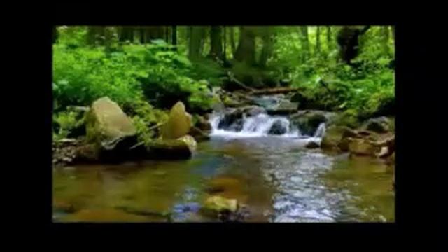 Россия-дорога к Новому миру.