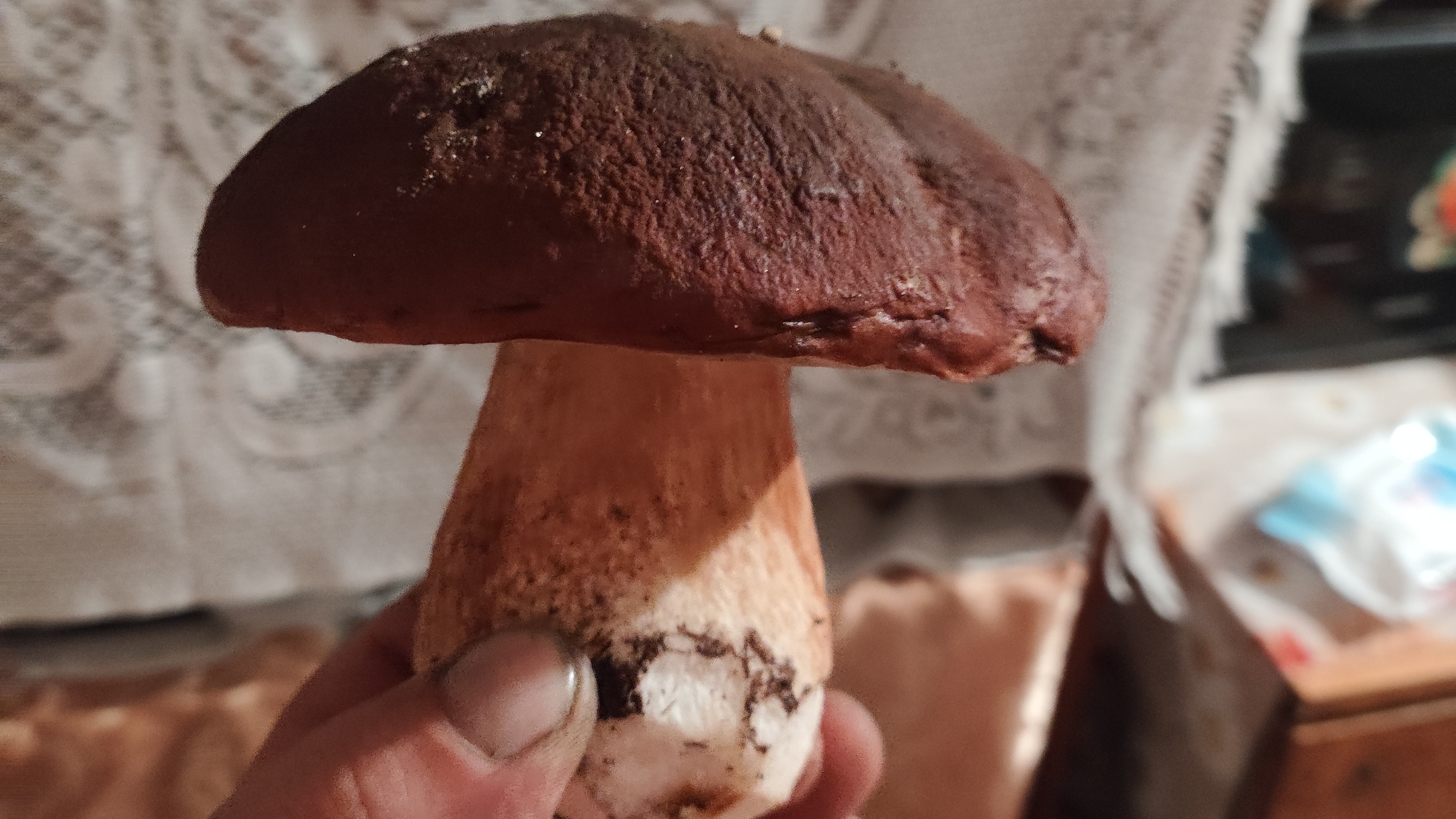 Хоккейнер пять мин до старта