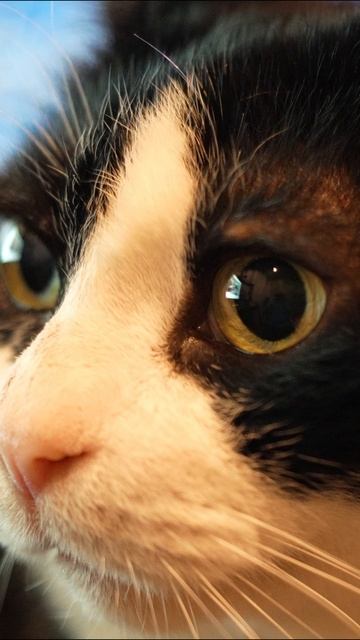 Вы думаете мы спим?