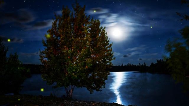 Красивая и спокойная музыка для релакса и сна. Инструментальная мелодия для отдыха, для души и сна.