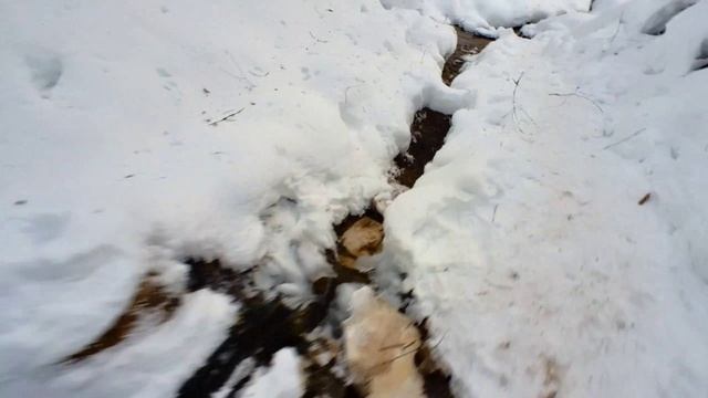 Корты, источник. Йошкар-Ола январь 2026