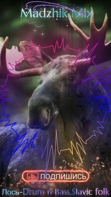 Madzhik Mix - Лось