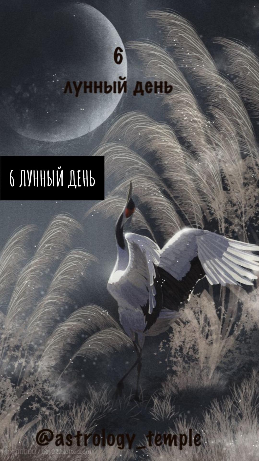 📅 Суббота, 24.01.2026 🌛 6 Лунный день 🌒 Растущая Луна в Овне (для Овнов знаковый период)   🪄