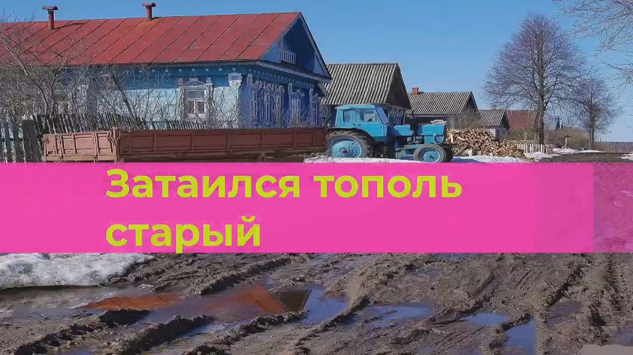 Затаился тополь старый