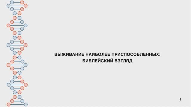 Естественный Отбор_ Как Наука Подтверждает Библию _ Естественный Отбор Животных