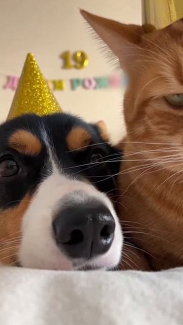 Грустный праздник