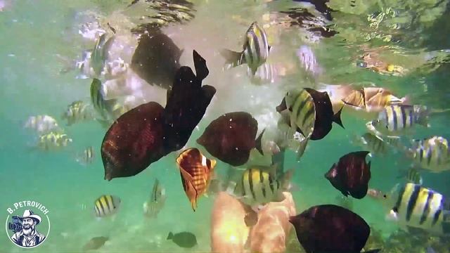 Шарм Эль-Шейх в феврале. Тёплые воспоминания