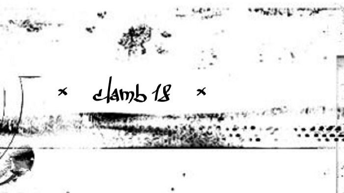 • ● Clamb 18 (01) ● •