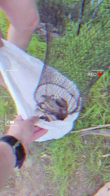 Большой улов