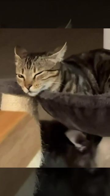 Уровень спокойствия, к которому я стремлюсь