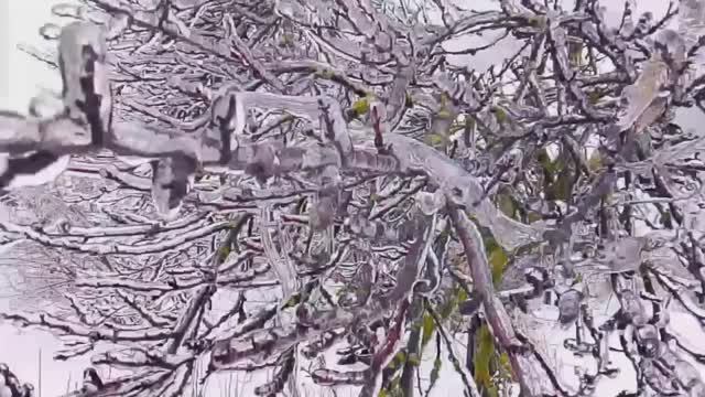 Обледенения в южных районах 24.01.2026