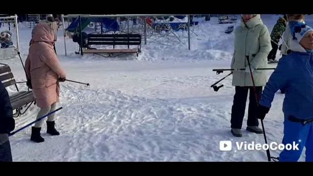 Северная ходьба в парке "ХАРИНКА" г.Иваново 24.01.26 г.