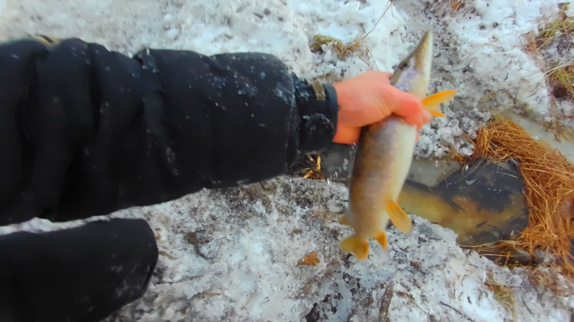 До темна спасал рыбу от замора часть 4