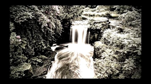 HuNTTeRR - Midsummer Night's Dream