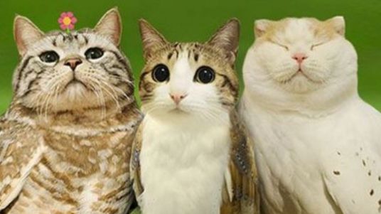 roblox но я на войне и другое