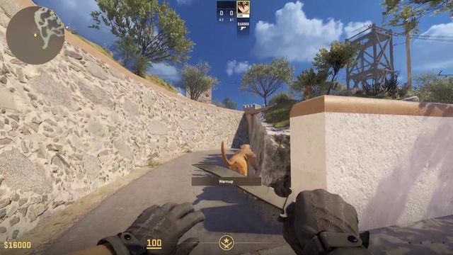 В CS2 добавили обезьян.