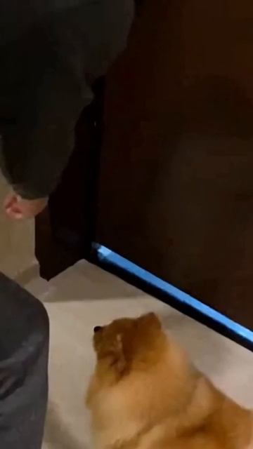 Грозный страж