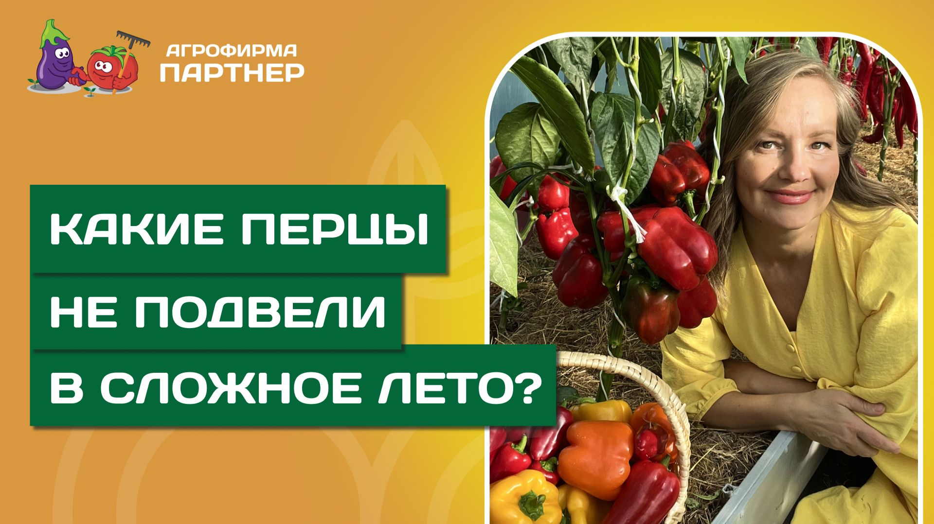 СЛАДКИЙ ПЕРЕЦ В СЛОЖНОЕ ЛЕТО: КОГО САЖАТЬ И НА ЧТО РАССЧИТЫВАТЬ
