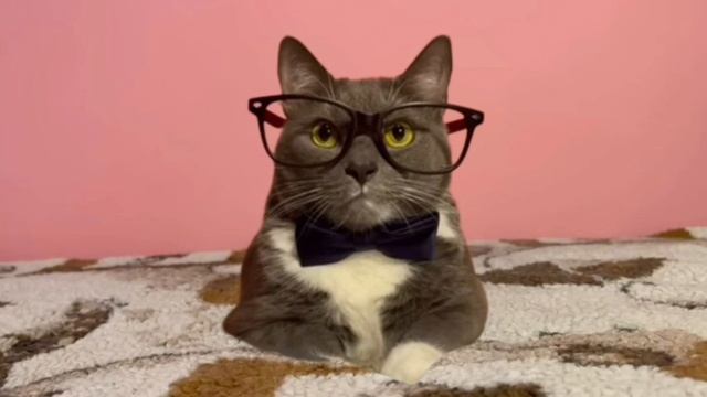 Тетрадь смерти