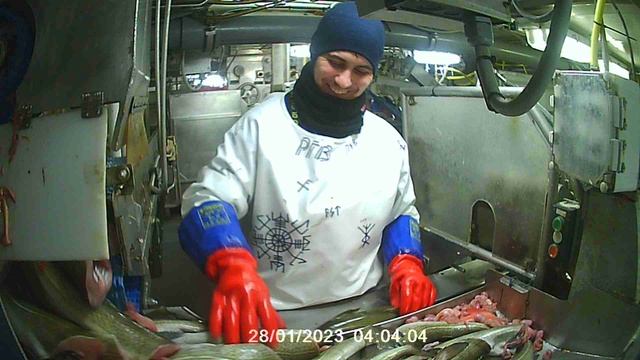 Работа в море. Судно Таурус.