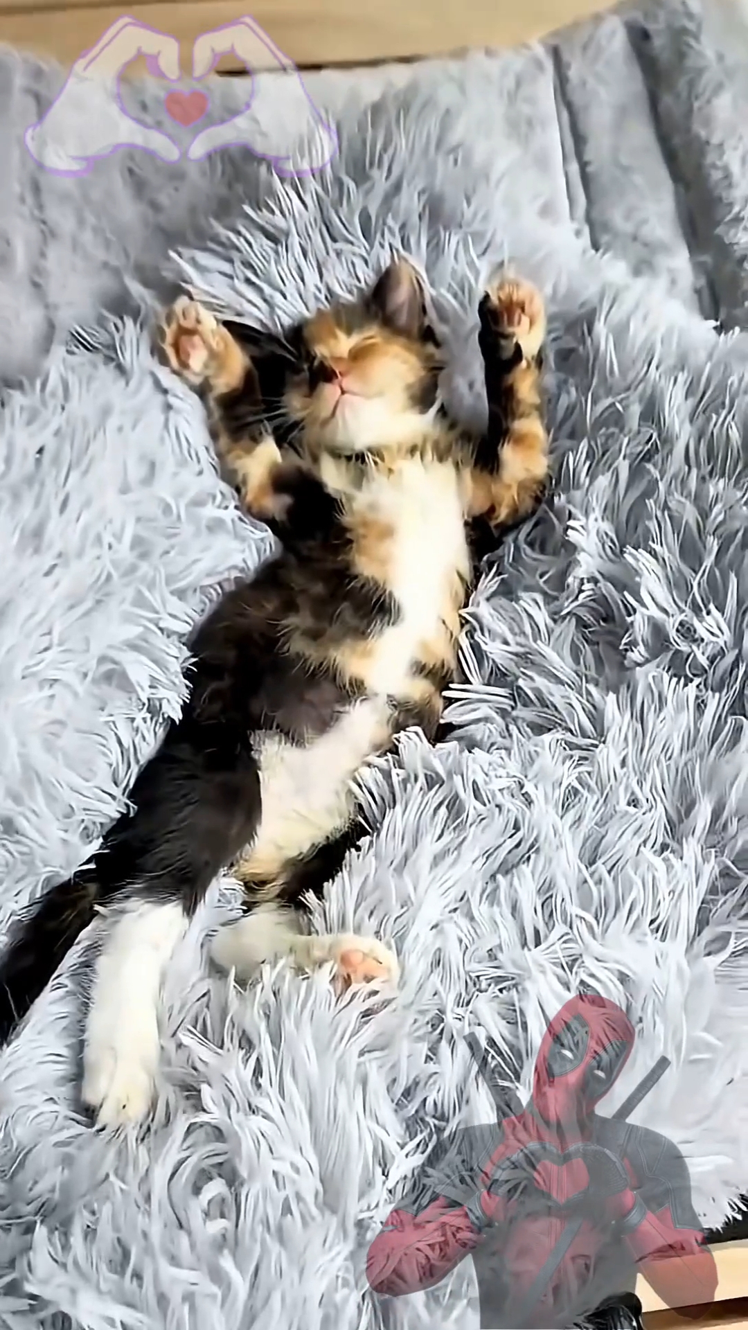 Загляни в глаза! Загляни в глаза мне! Загляни в глаза и прочитай! 😎🫶😼