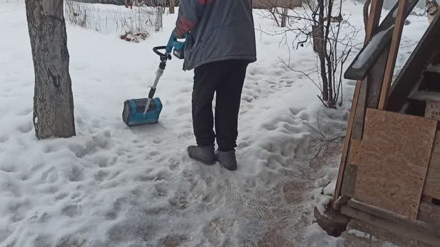 #тест_электро_лопата 24.01.26 #фазаны 5 месяцев #лайки #жизнь_в_деревне #мари_мистик