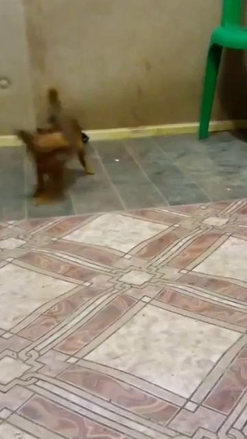 Наш лучший футболист