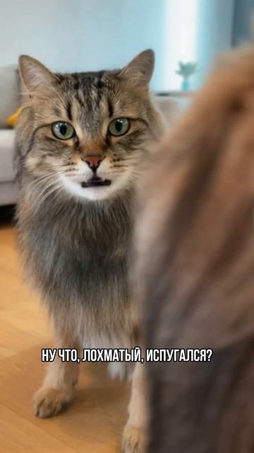 Испугался?