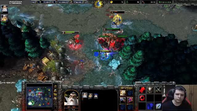 Dolphin Cocoon Into Butterfly Cup 41