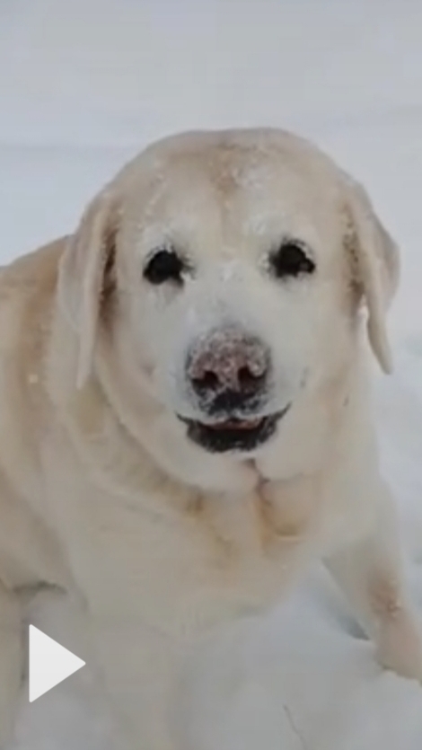 Морозная перина