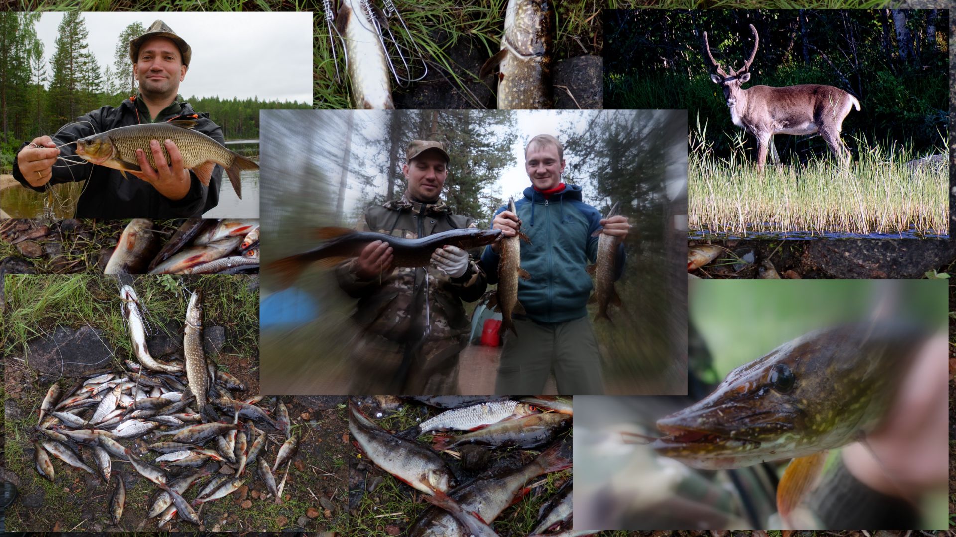 КАРЕЛИЯ. Река ВОНЬГА 2018. РЕМЕЙК. (НД)