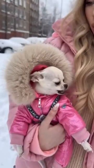 Модный комбез