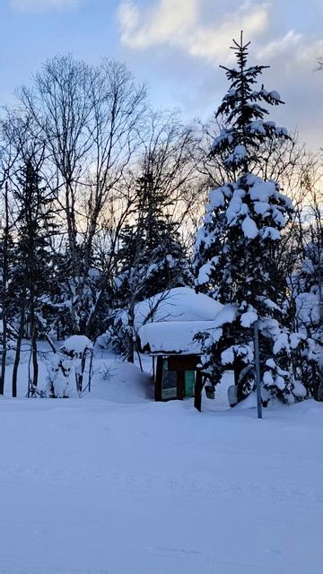 Даже когда в городе метель стирает горизонты, там, наверху, всё по-другому.  ❄️⛷️