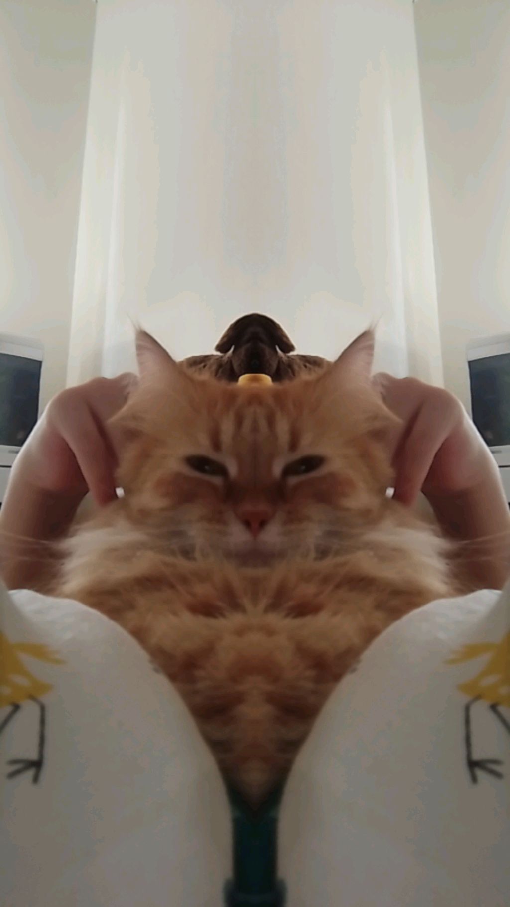 простите за звук🥺