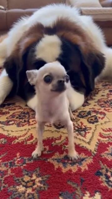 Разобрался