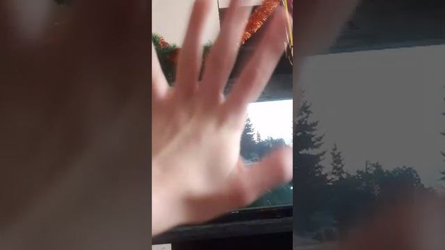 почти вся команда