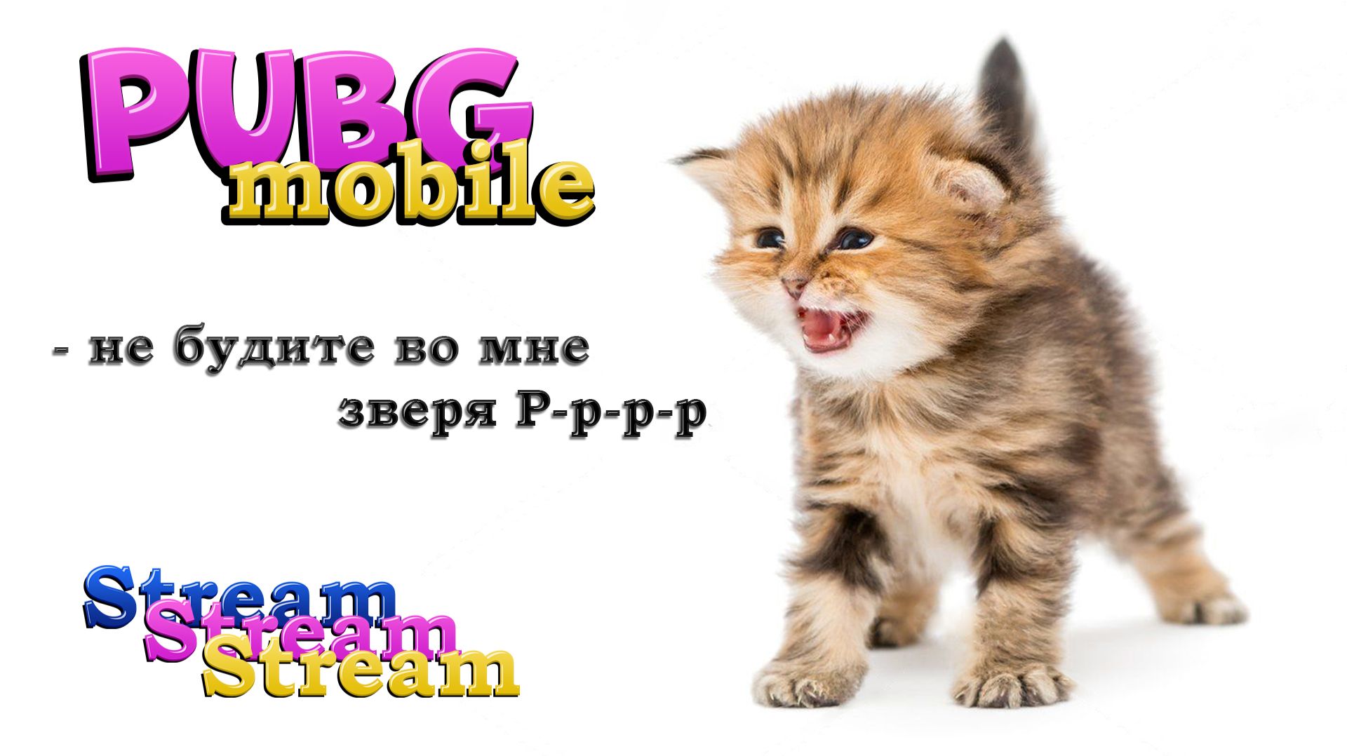 Стрим_ PUBG mobile_не будите во мне зверя