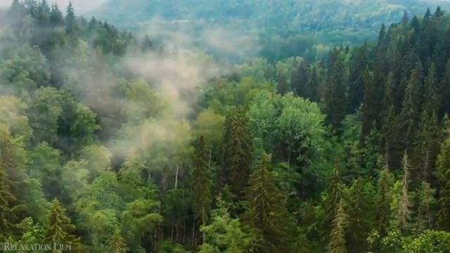 Каждая женщина целительница «Секреты ведических знаний для женщин» Марианна Полонски