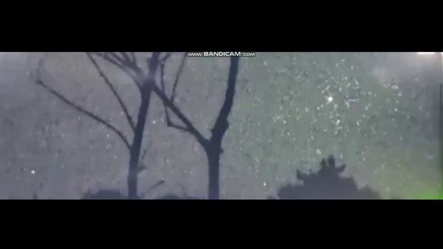 Светящиеся шары летали всю ночь. Съемки на фотоловушку