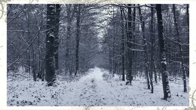 Lex Gaisler - Neosphere