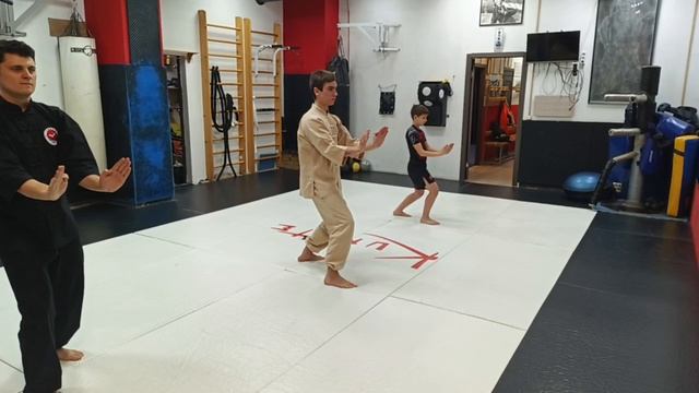 ушу - журавль