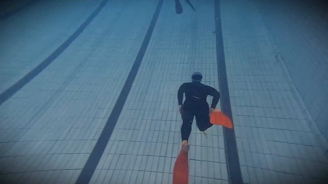 PADI BASIC FREEDIVER