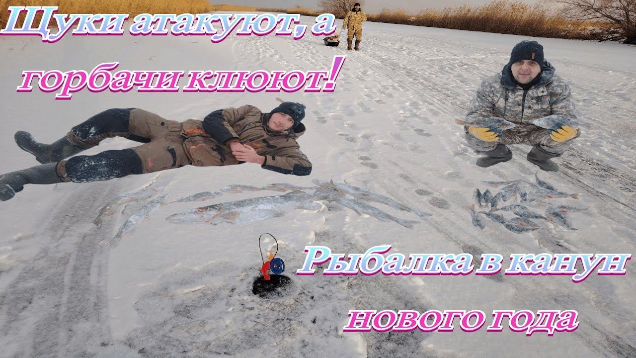 Рыбалка в канун нового года 2026. Зимняя рыбалка на жерлицы.