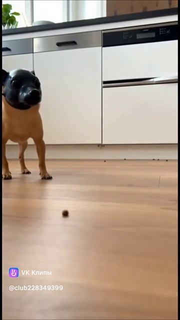 Посмотри на меня 👍👍👍